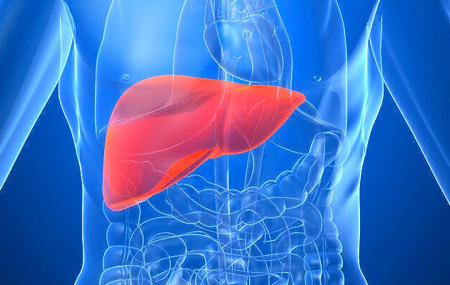 Statistics and Causes of Liver Cancer | The Truth About Cancer