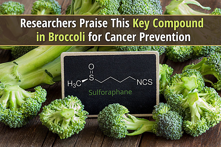Researchers Praise This Key Compound in Broccoli for Cancer Prevention ...