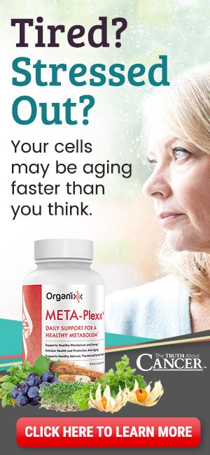 Oleander Extract's Success Against Cancer and Other Disease