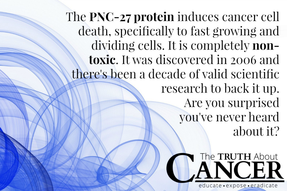 PNC-27: The Promising Cancer Cure That's Not Available in the US
